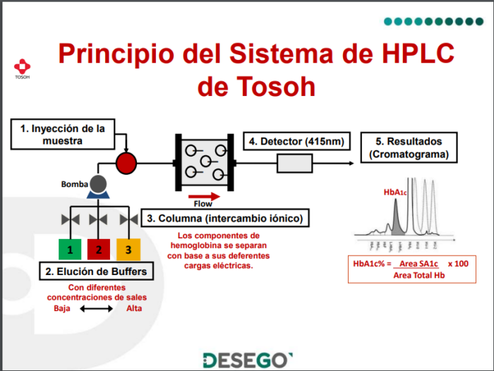 An. de HbA1c por HPLC G11 Tosoh - DESEGO