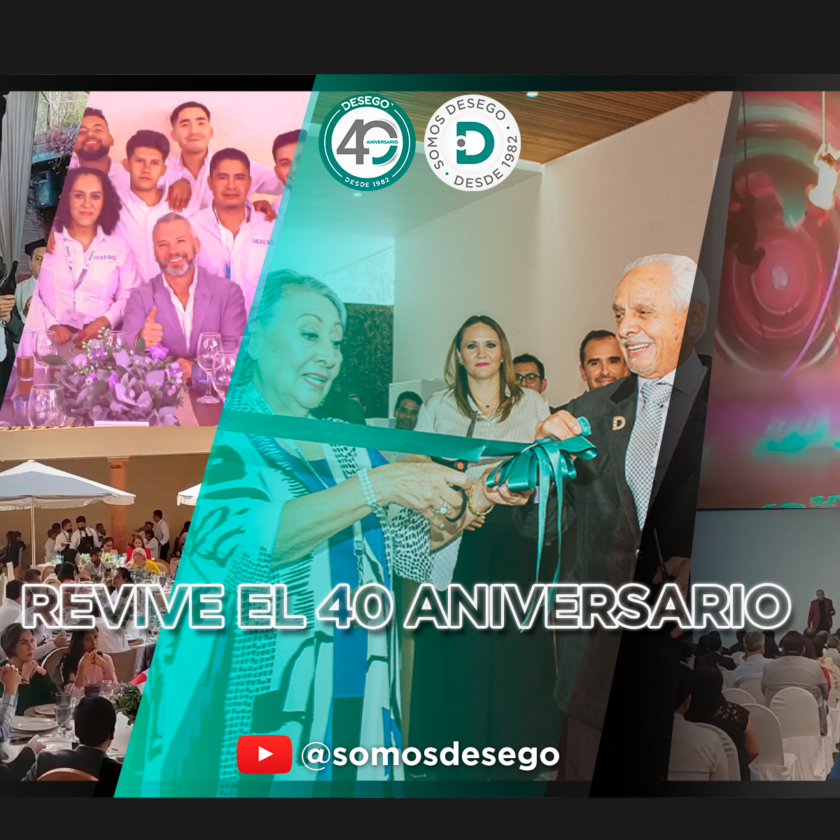 DESEGO | Servicio | Equipos | Consumibles